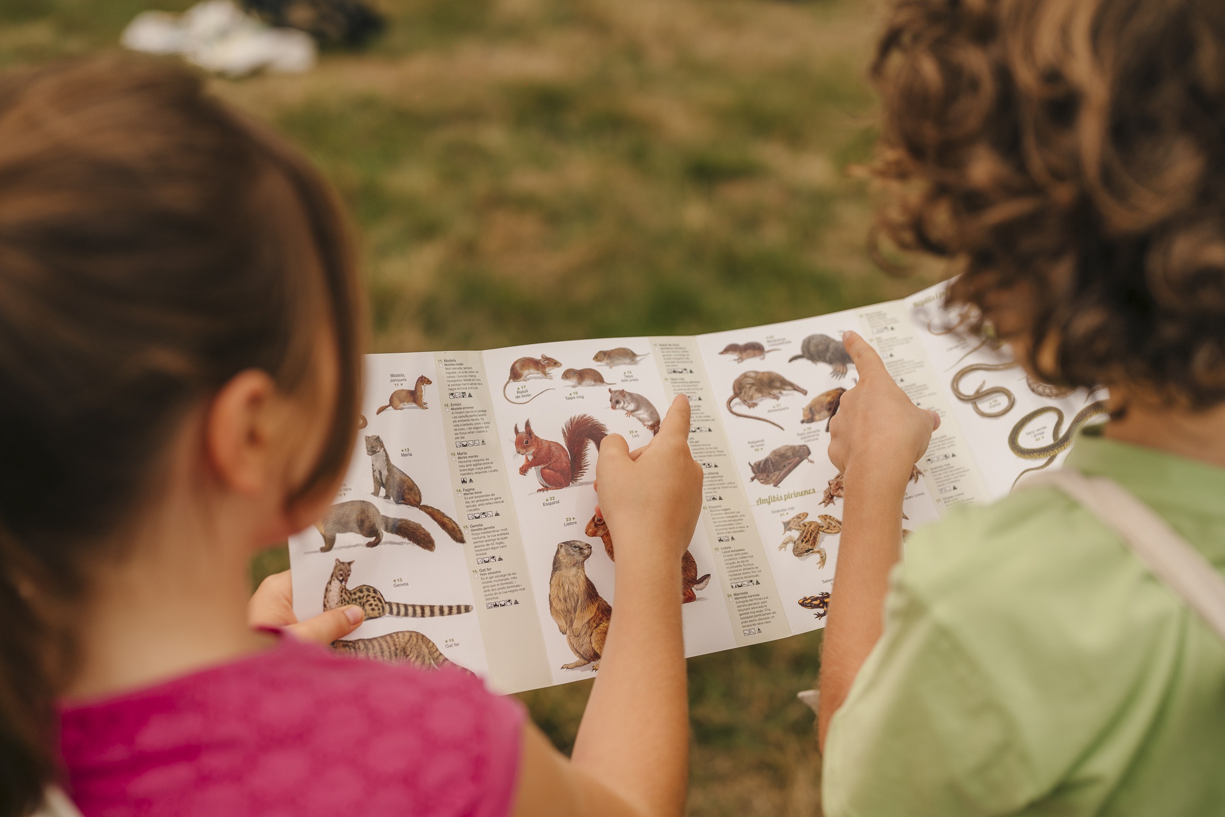 Wildlife tracking - MónNatura Pirineus